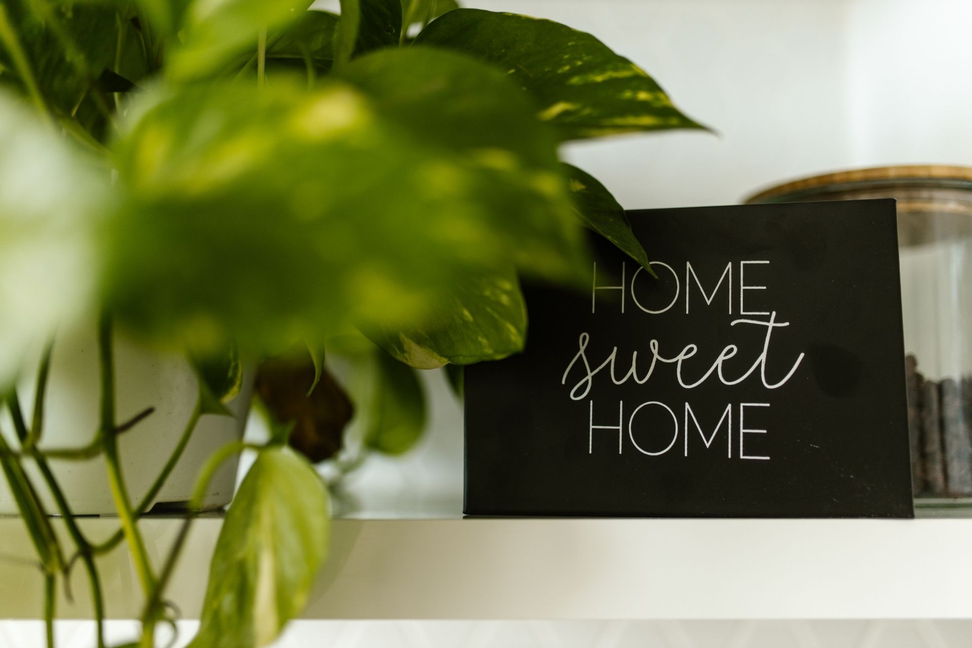 Our Team - Property Management & Real Estate Experts | Climber Property